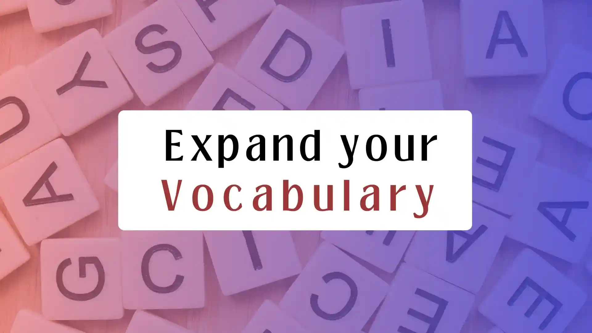 ib daily vocabulary
